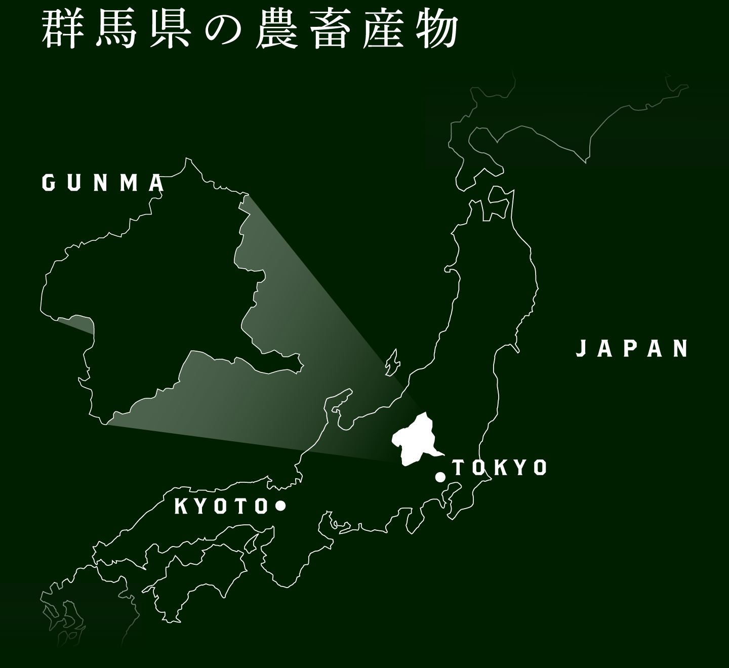 Neokyo - Qu'est-ce que le daruma, ce souvenir que l'on rapporte du ...