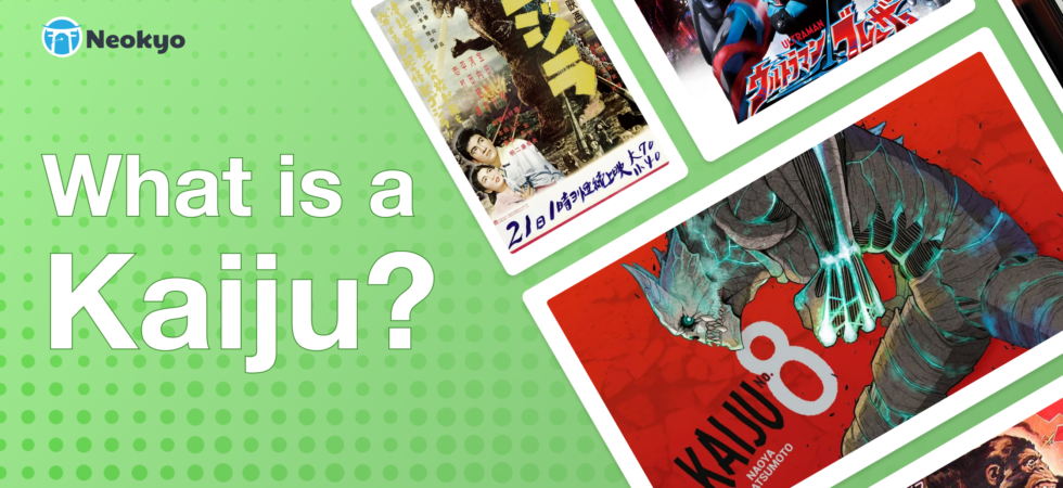 Neokyo Tips for your purchase in Japan